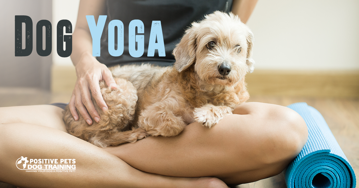 Doing Yoga with Your Dog - Positive Pets Dog Training Boise, ID - Puppy ...