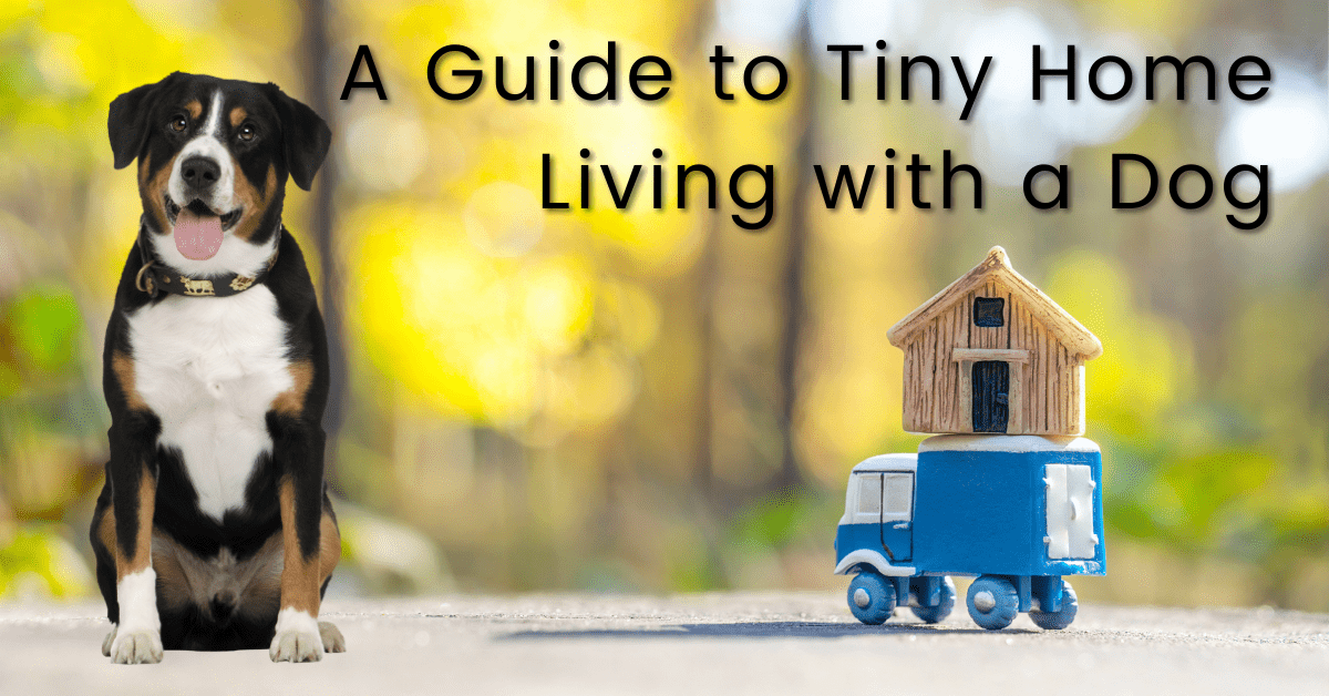A Guide to Tiny Home Living with Your Dog - Positive Pets Dog Training ...