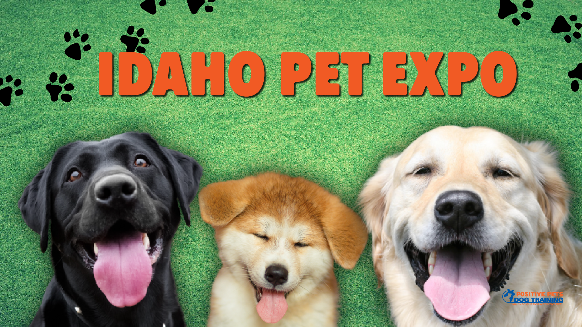 Join Us at the Idaho Pet Expo - Positive Pets Dog Training Boise, ID ...