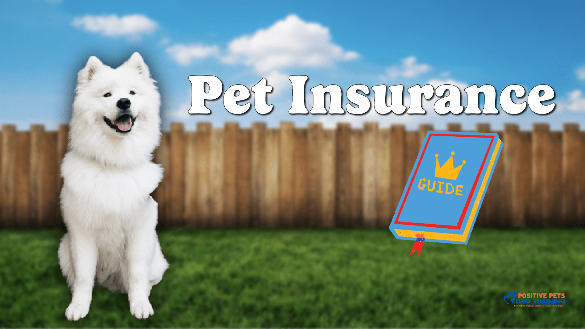 A Full Guide to Pet Insurance - Positive Pets Dog Training Boise, ID ...