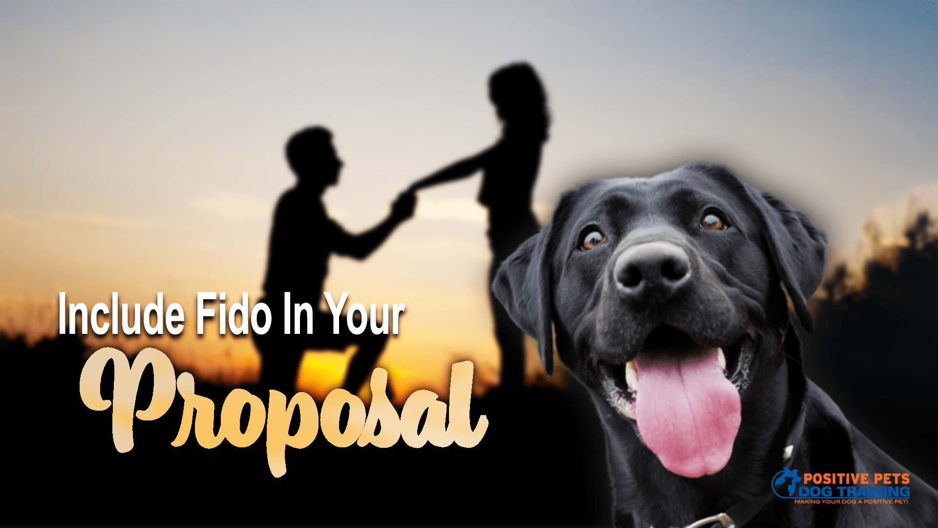 Including Your Dog in Your Proposal - Positive Pets Dog Training Boise ...