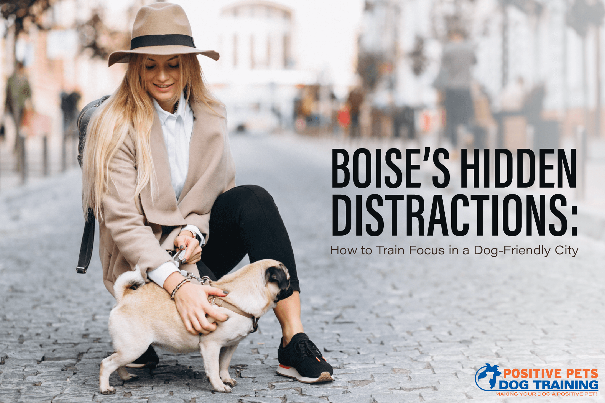 Boise’s Hidden Distractions: How to Train Focus in a Dog-Friendly City ...