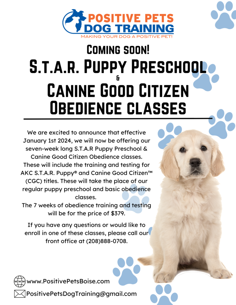 Training Classes & Schedule - Positive Pets Dog Training